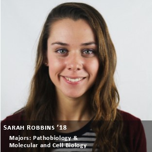 Peer Research Ambassador Sarah Robbins | Office of Undergraduate Research