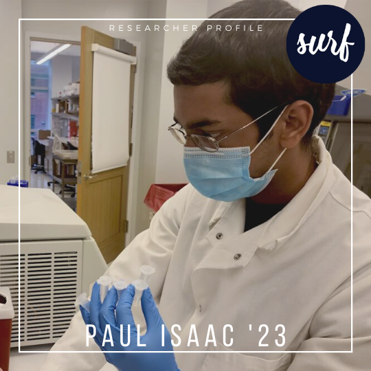 Home | Office of Undergraduate Research